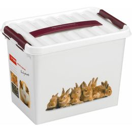 Sunware - Aufbewahrungsbox mit Tieren Motiven Q-Line