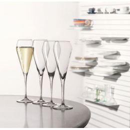 Spiegelau Glas 4x Spiegelau Willsberger Anniversary Champagner 4tlg.