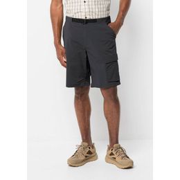 Jack Wolfskin Shorts WANDERTHIRST SHORTS M, grau