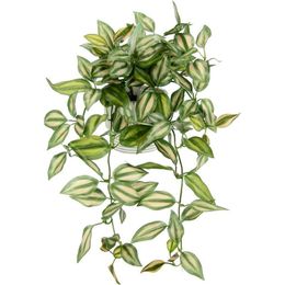 Kunstpflanze Tradescantiahänger, I.GE.A., Höhe 42 cm, Mit Übertopf Kunstpflanze Hängepflanze Pflanzenampel Kletterpflanze, grün|rot