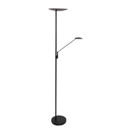 Steinhauer Daphne Deckenfluter LED Schwarz, 2-flammig
