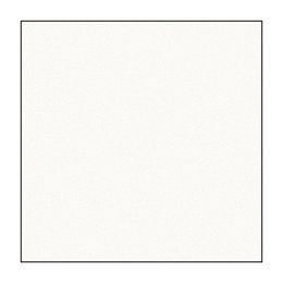 Gardinia - Flächenvorhang Uni weiß, 60 x 245 cm Flächenvorhänge