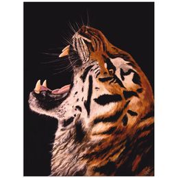 Artland Wandbild »Tiger«, Wildtiere, (1 St.), als Alubild, Leinwandbild, Wandaufkleber oder Poster in versch. Größen braun