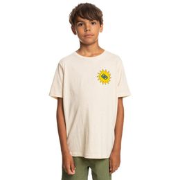 Quiksilver T-Shirt »Planet Positive« Birch Heather 8 8 Material: Melierter BaumwollStoff [160...