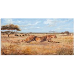 Artland Wandbild »Laufender Gepard«, Wildtiere, (1 St.), als Alubild, Leinwandbild, Wandaufkleber oder Poster in versch. Größen braun