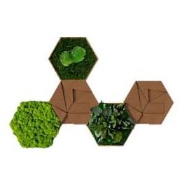 Best of GREEN Kork-Hexagon Set mit 5 Grün, Braun