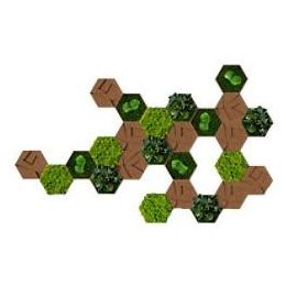 Best of GREEN Kork-Hexagon Set mit 25 Grün, Braun