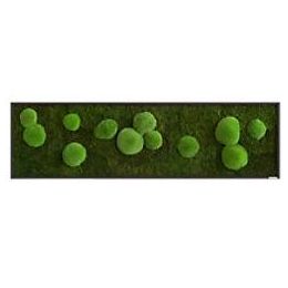 best of GREEN Moos-Wand boGsGMbWKm140x40HoSw Grün