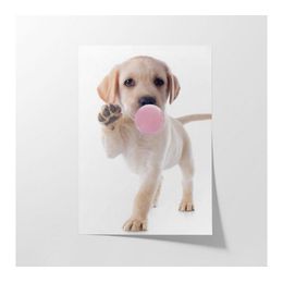 Hustling Sharks Poster Hunde-Bild als XXL Poster "Puppy Gum"