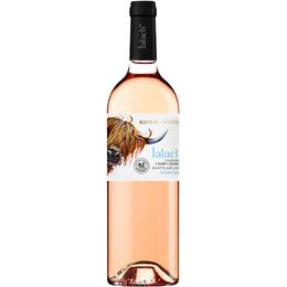 Champ Chapron 2022 IALACH Rosé trocken