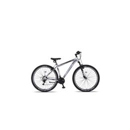 Altec Mountainbike 29 Zoll Umit 4 MOTION, silber