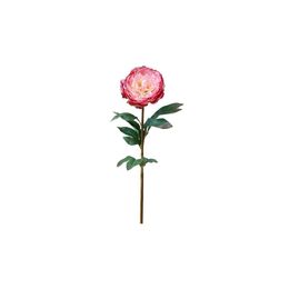 Chic Antique Fleur Pfingstrose, H74 cm, rosa