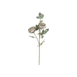 Chic Antique Fleur Rose, L75 cm, staubig grün