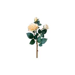 Chic Antique Fleur Rose Kunstblume, H50, honig