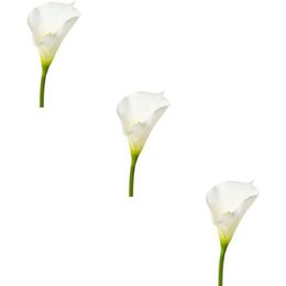 Kunstblume Calla Calla, Creativ green, Höhe 55 cm, weiß