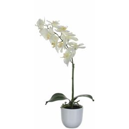 Mica Decorations - Mica Kunstpflanze Phalaenopsis im Topf weiß, 60 x 16 cm Kunstpflanzen