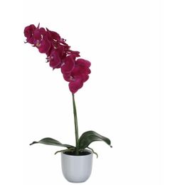 Mica Decorations - Mica Kunstpflanze Phalaenopsis im Topf violett, 60 x 16 cm Kunstpflanzen