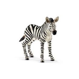 Schleich® Farm World 14811 Zebra Fohlen Spielfigur