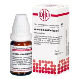 DHU-Arzneimittel ARUNDO mauritanica D 12 Globuli