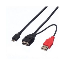 ROLINE USB 2.0 Y-Kabel, 2x Typ A (ST / BU)
