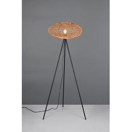 Trio Hedda Stehleuchte Schwarz, 1-flammig