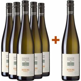 Domäne Wachau Domäne Wachau 2023 5+1 Paket Riesling Federspiel Terrassen trocken