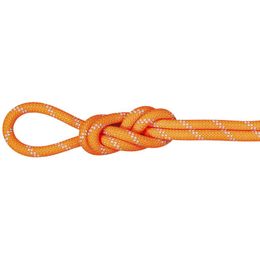 Mammut Alpine Dry 9,5 mm - Einfachseil