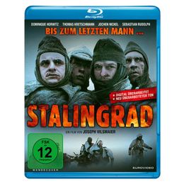 Alive Stalingrad (Blu-ray)