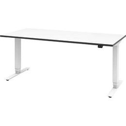 Röhr-Bush röhr Imperia elektrisch höhenverstellbarer Schreibtisch weiß rechteckig, T-Fuß-Gestell weiß 160,0 x 80,0 cm