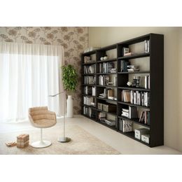 Fif Möbel fif möbel Raumteilerregal Toro, 18 Fächer, Breite 359,2 cm, braun|schwarz
