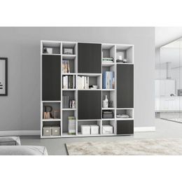 Fif Möbel fif möbel Raumteilerregal TORO 530-2, Breite 224 cm, beige|braun|schwarz|weiß