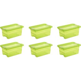 keeeper Aufbewahrungsbox cornelia (Set, 6 St), mit Deckel, Schiebeverschluss, grün