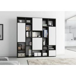 Fif Möbel fif möbel Raumteilerregal TORO 530-2, Breite 224 cm, braun|schwarz|weiß