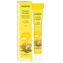 Bergland-Pharma GmbH & Co. KG Mundwasser Propolis Mundgel bio, 13.5 ml