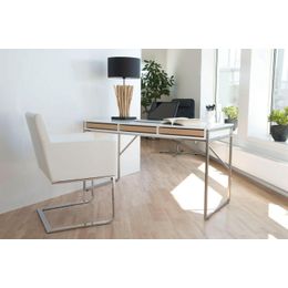 Hammel Furniture Schreibtisch Mistral Bürotisch, Arbeitstisch, Tisch, Computertisch, mit Gestell, B: 137,4 cm, Designmöbel, braun|weiß