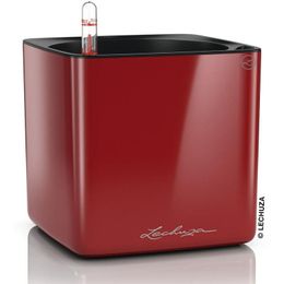 Tischgefäße cube Glossy 16 Scarlet rot hochglänzend - Lechuza