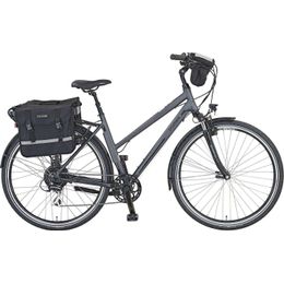 Prophete E-Bike Entdecker e9000 Damen, 8 Gang Shimano Acera Schaltwerk, Kettenschaltung, Heckmotor, 497 Wh Akku, Pedelec, grau