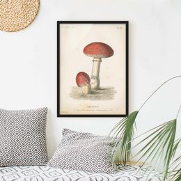 Bilderwelten Bild mit Rahmen Kulinarisch beige Vintage inkl. Rahmung - Franz&ouml;sische Pilze II - Retro Wohnzimmer Schlafzimmer