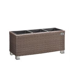 Weles Pflanzkübel Polyrattan 78 x 27 x 34 cm, für Innen und Außen, Kunststoffeinsatz, mocca