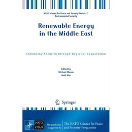 Renewable Energy in the Middle East, Kartoniert (TB)