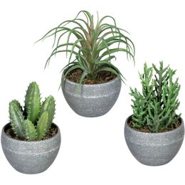 Künstliche Zimmerpflanze Sukkulenten Sukkulente, Creativ green, Höhe 14 cm, im Melamintopf, 3er Set, grün