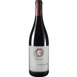 weingut gindorf Spätburgunder 2022 Trocken - Mosel – Rotwein Qualitätswein