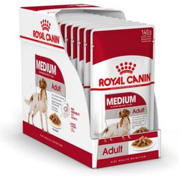 Royal Canin - Adult Medium - Rindfleisch in Sauce - 10 Umschlge x 140 g