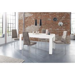 Inosign Essgruppe Lynn160/Kate, (Set, 5-tlg), Tisch mit 4 Stühlen, grau|weiß