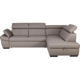 exxpo - sofa fashion Ecksofa Salerno, inklusive Kopfteil- und Armteilverstellung, wahlweise mit Bettfunktion, braun