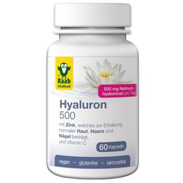 Hyaluron 500 Kapseln, 60 Stück à 580 mg
