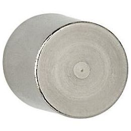 Maul Neodymium Rund Magnete Silber 9 kg Tragfähigkeit 16 mm 4 Stück