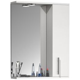 Vcm Badspiegel Wandspiegel 55 cm Hängespiegel Spiegelschrank Badezimmer Drehtür Beleuchtung Lisalo L (Farbe: weiß)