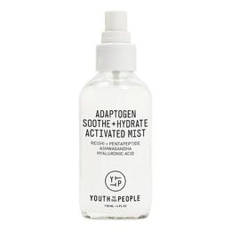 Youth To The People - Adaptogen Moisture Face Mist - 118 Ml