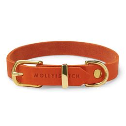 Pets Deli Molly & Stitch Butter Hundehalsband - Olivenbaum / goldener Karabiner / S